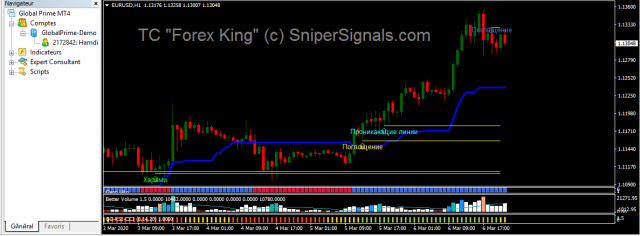 Forex King Trading System – Forex Wiki Trading